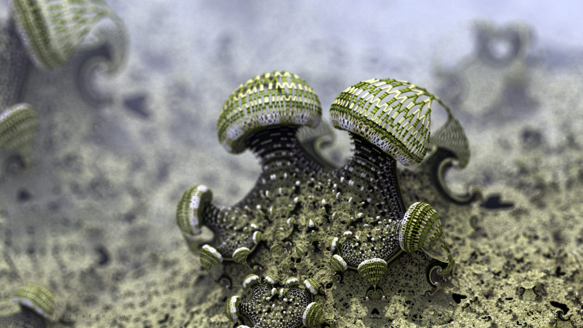 Soil – fractal.batjorge.com