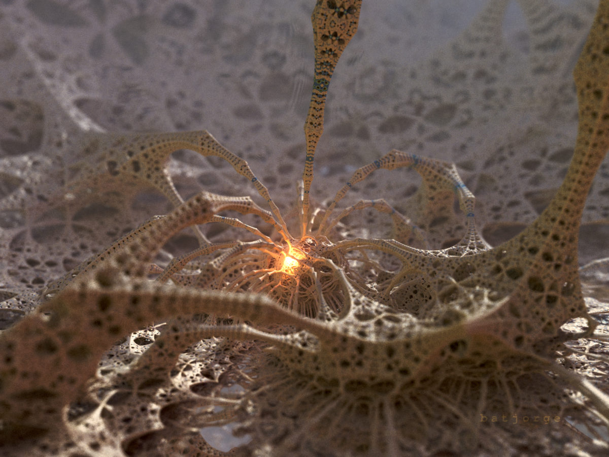 December 23, 2020 – fractal.batjorge.com