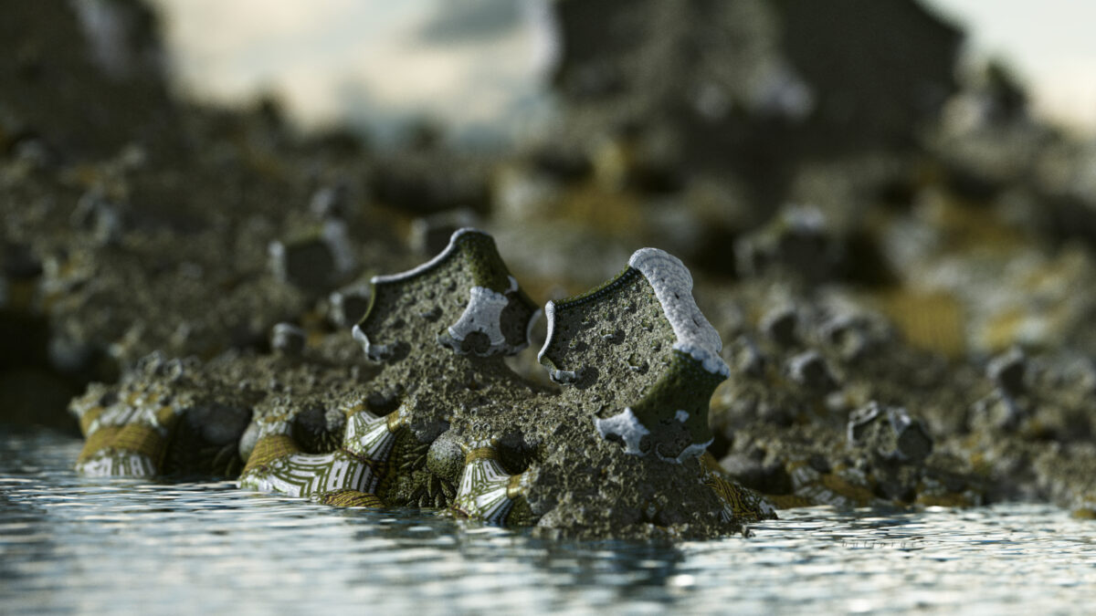 fractal.batjorge.com