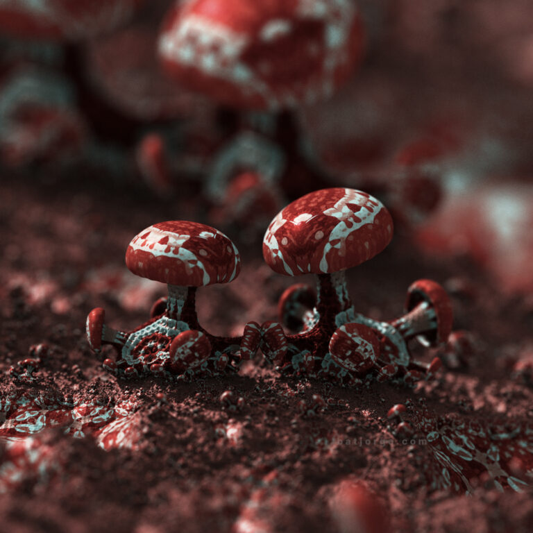 fractal.batjorge.com – The World of 3D Fractal Art