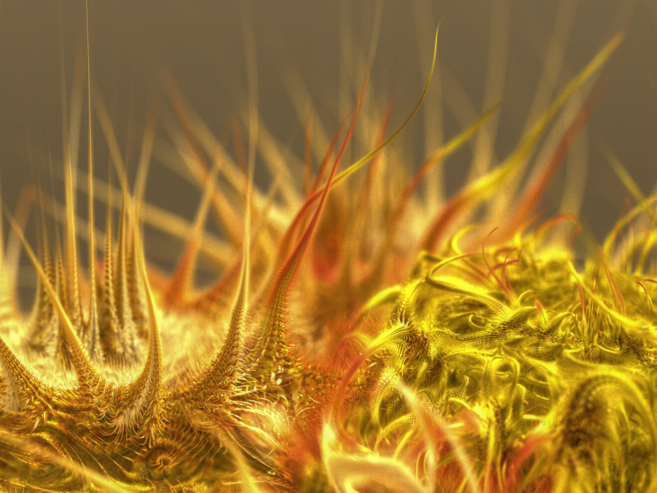 fractal.batjorge.com – The World of 3D Fractal Art